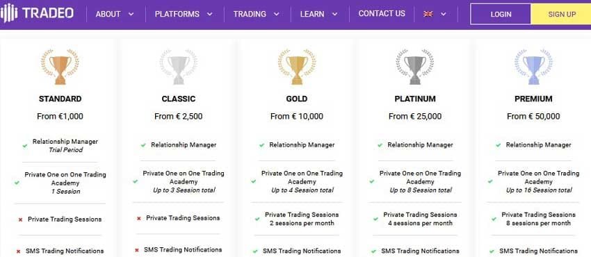 Tradeo Review 2024 - Is Legit or Scam | Forexing.com
